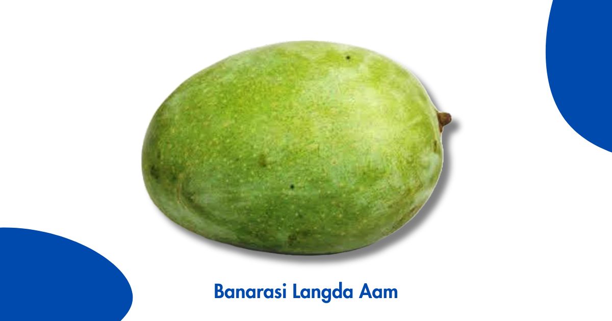 Discover the Unique GI Tag Products of Varanasi - Vendo The Advertisers
